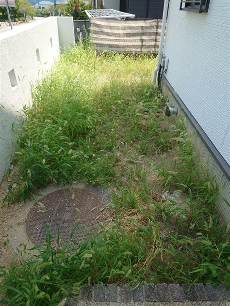枚方市の植木屋なら植木屋 庭亮 笑顔と地域に密着したサポート