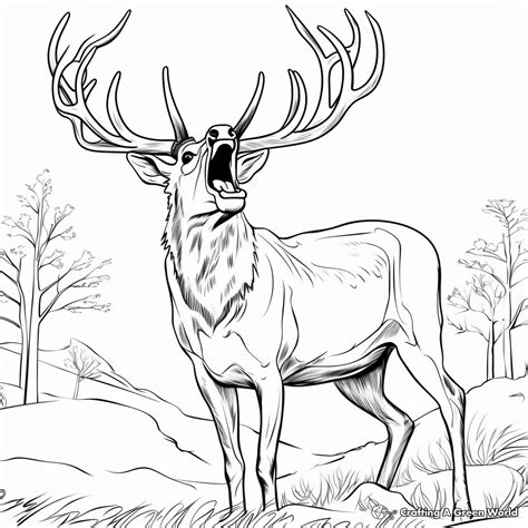 Red Stag Drawing Sketch Coloring Page