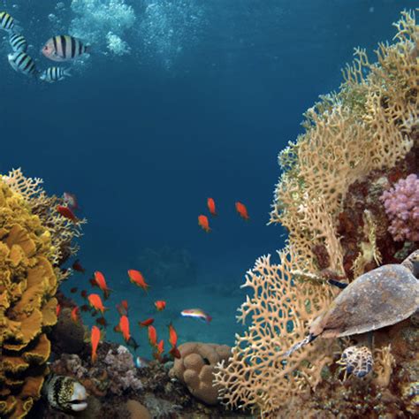 Python Aptitude Testscampus Placement Test Mock Interview