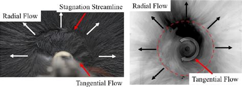 Tuft Left And Smoke Right Flow Visualization Of Near Surface