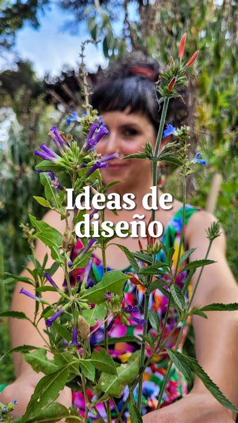 🌿 Diseñar Con Nativas Es Dejar Que El Jardín Se Vea Más Silvestre Vivo Y Natural En Este