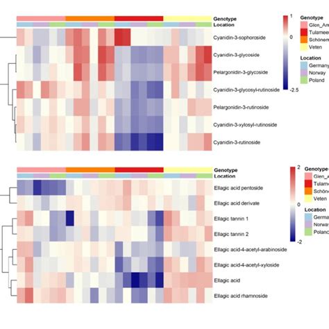 Heatmap Visualization Of Raspberry Volatile Compounds Identified In