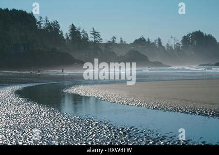Chesterman Beach Panorama At Low Tide Pacific Rim National Park