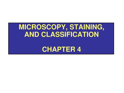 Ppt Microscopy Staining And Classification Chapter 4 Powerpoint Presentation Id 3058152