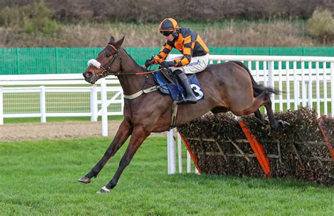 Donny Boy Wins At Newcastle A Review Of The Week New Arrivals And