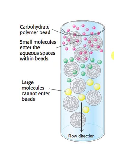 Chromatography Flashcards Quizlet