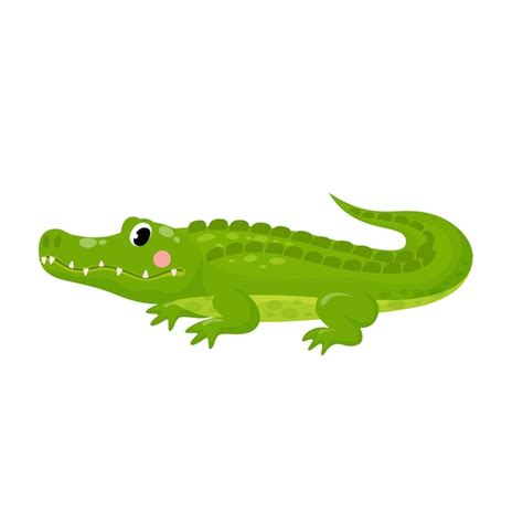 Premium Vector Vector Illustration Of Cute Alligator