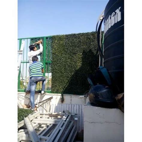 Plastic Rectangle Artificial Grass At Rs 50square Feet In New Delhi