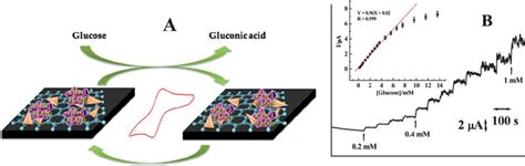 A Schematic Illustration Of Biosensing Of Glucose Using The Third Download Scientific Diagram