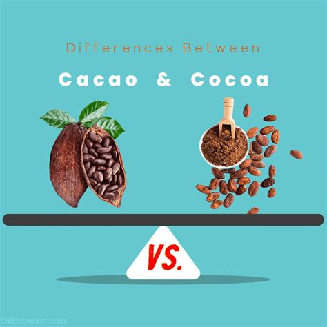 Cacao Vs Cocoa Exploring The Differences