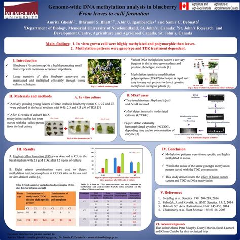 Pdf Genome Wide Dna Methylation Analysis In Blueberry From Leaves