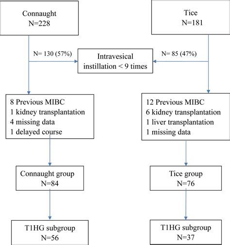The Comparison Of Different Bcg Strains In The Intravesical
