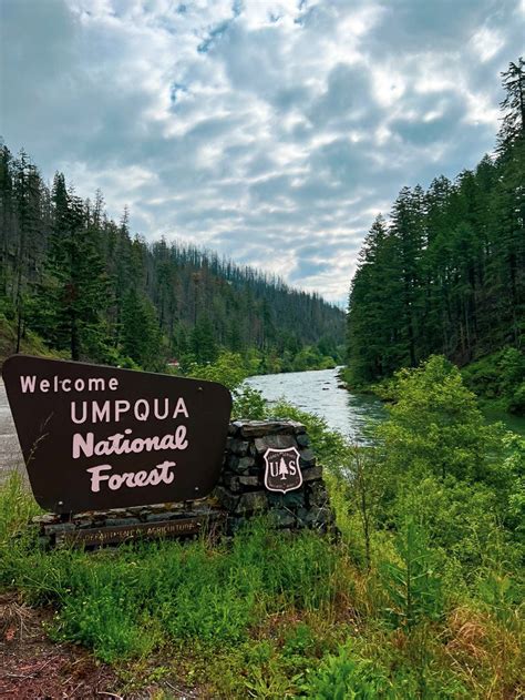 A Guide To Visiting Umpqua National Forest — Pacific Adventure Club