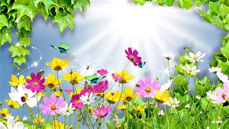 Cartoon Flowers Wallpapers Wallpaper Cave