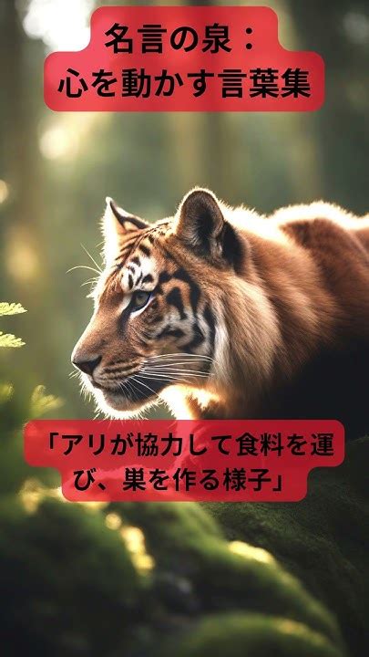 これが動物たちのサバイバル術5選！ 名言の泉心を動かす言葉集 名言 哲学の道 人生哲学 人生の教訓 刺さる名言 名言シリーズ いい言葉 刺さる名言 Youtube