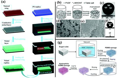 Recent Advances Of Bioinspired Functional Materials With Specific Wettability From Nature And