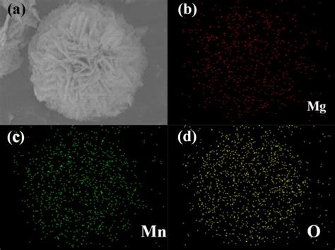 Sem Image A And Element Mapping Spectra Mg B Mn C And O D Of