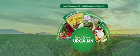Монгол Ногоо төсөл Mon Vegi Project ХҮҮХДИЙН ХООЛЫГ ХҮНСНИЙ