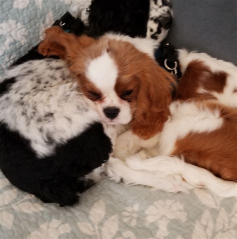 Sally Hassert Sally Hassert Updated Her Status Facebook