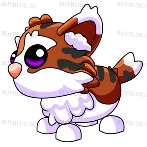Munchkin Cat Buyblox