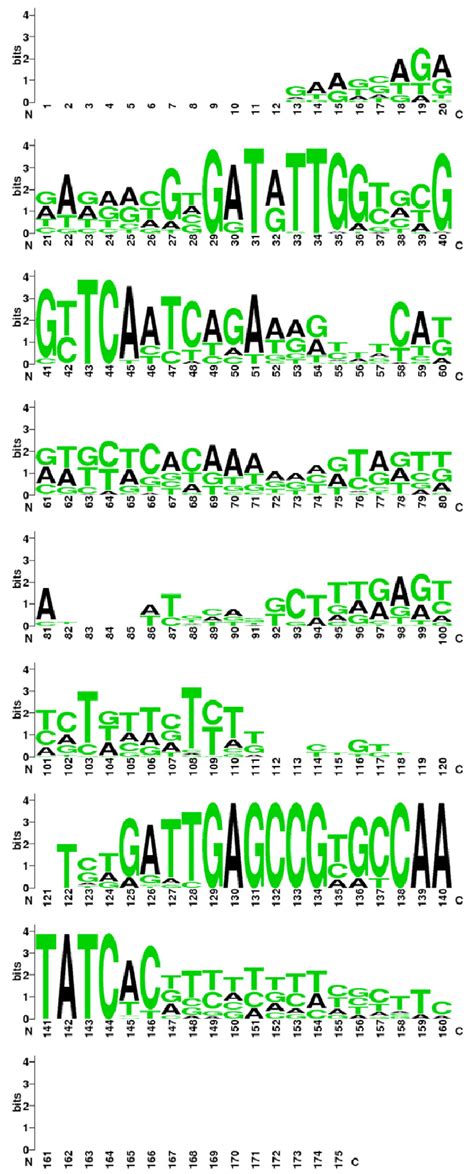 Sequence Logo Showing A Consensus Sequence Generated From The Multiple