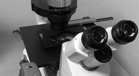New Epi Fluorescence And Phase Contrast Microscope Available