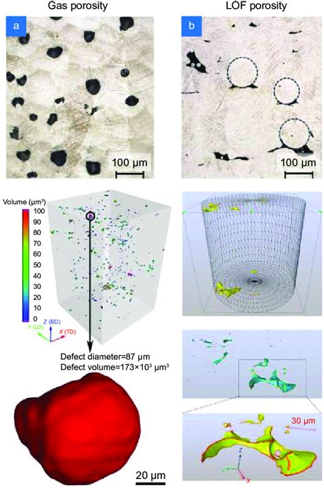 Representative Cross Sections And 3d Reconstructions Of A Gas