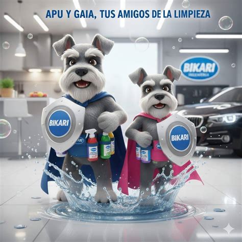 Bikari Productos De Limpieza