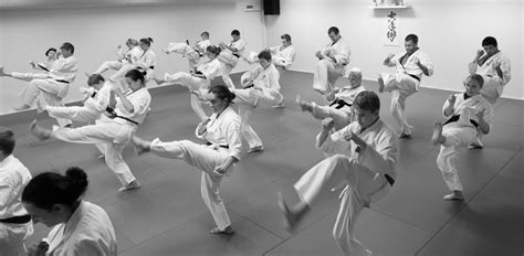 Martial Arts Karate Jutsu Kai