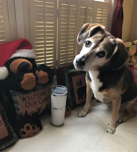 Anna Welsh On Linkedin Abcignite