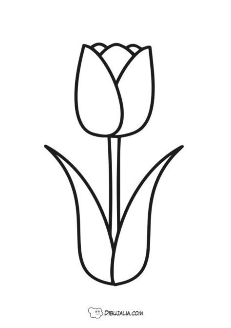 Dibujos Bonitos De Tulipanes
