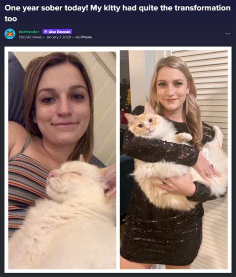 Image A Transformation Scrolller Image A Transformation Scrolller