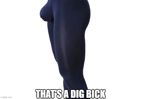 Dig Bick Memes And S Imgflip