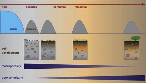 Schematic Overview Of Soil Macropore And Pore Complexitys Evolution