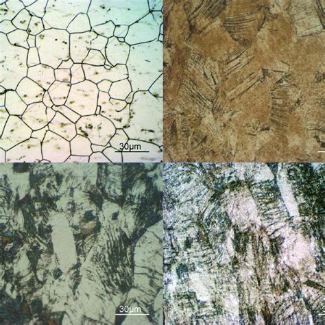 Optical Micrographs Of The Initial Microstructures For Samples A A In Download Scientific