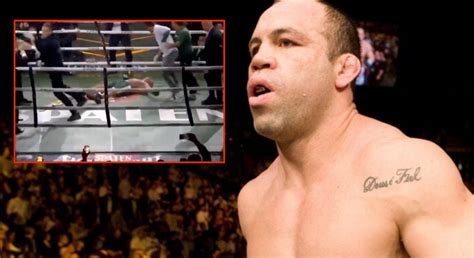 Wanderlei Silva Retour Triomphal Et Bagarre Post Combat Explosive