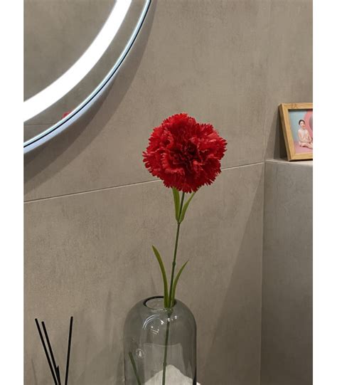 Goździk Zamów Już Dzisiaj Online Sklep2021pl