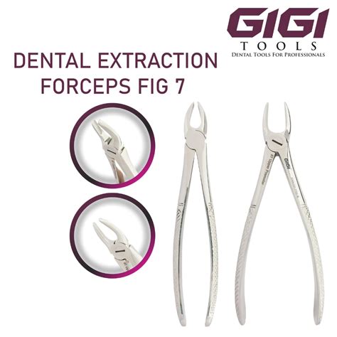 Gigi Tools Upper Premolar Tooth Extracting Forceps Fig 7 Adult Forceps