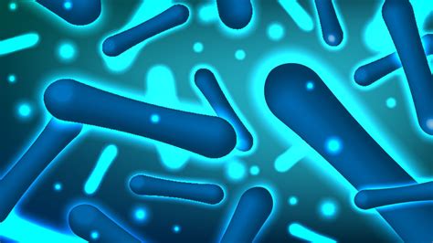 Científicos Húngaros Instalan Un Laboratorio En América Del Sur