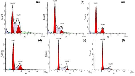 Evaluation Of The Cell Cycle Phases Histogram For The Cell Cycle Download Scientific Diagram