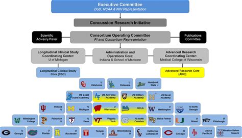 Organizational Structure Of The Care Consortium Year 1 Included 15 Csc