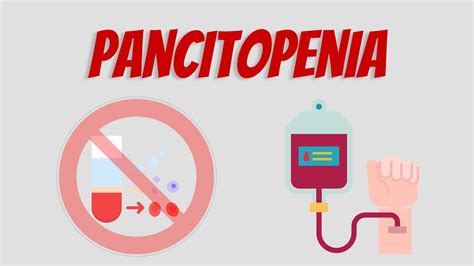 Pancitopenia Explicado Claramente Youtube