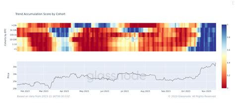 Recent On Chain Data Points To An All Cohort Bitcoin Accumulation