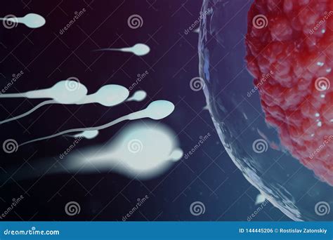 3d Illustration Sperm And Egg Cell Ovum Sperm Approaching Egg Cell Native And Natural