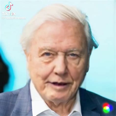 Danny Please Try This Rdannyaaronsmore