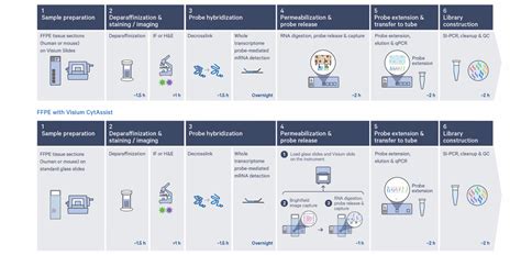 Genomics Core Facility Spatial Transcriptomics