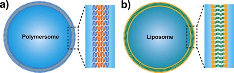 Recent Developments In Microfluidic Synthesis Of Artificial Cell Like Polymersomes And Liposomes
