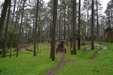 Conoce Las Grutas De Rancho Nuevo En San Cristóbal De Las Casas Chiapas