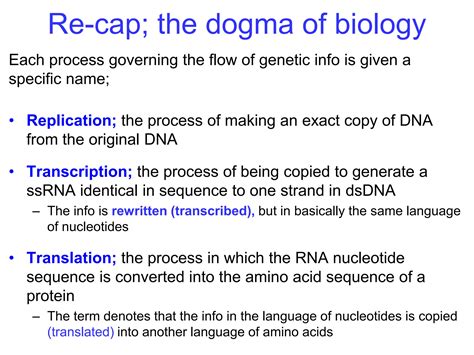 Ribonucleic Acids Molecular Structures And Functionspptx