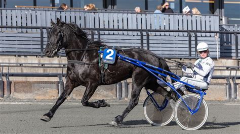 Profil Han Er Som Oksen Ferdinand